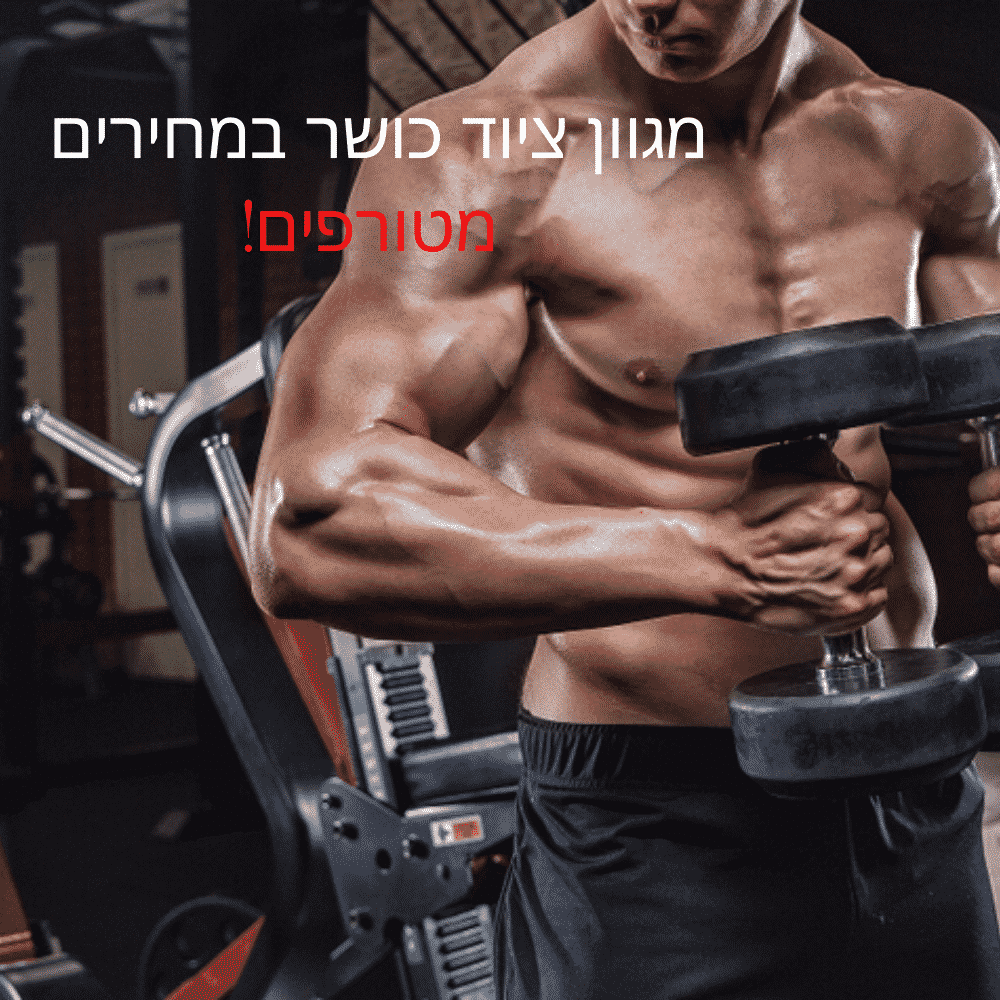חנות ספורט ולחימה | ציוד ספורט ולחימה של החברות המובילות | Xwear